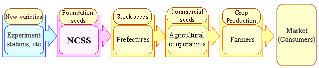 NCSS:Production of Foundation Seeds